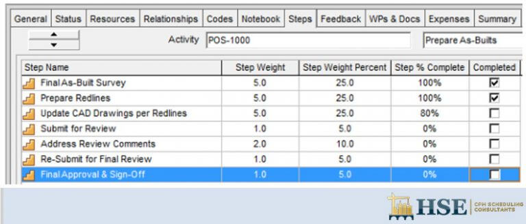 30 Primavera Tips and Tricks - HSE CPM Schedulers
